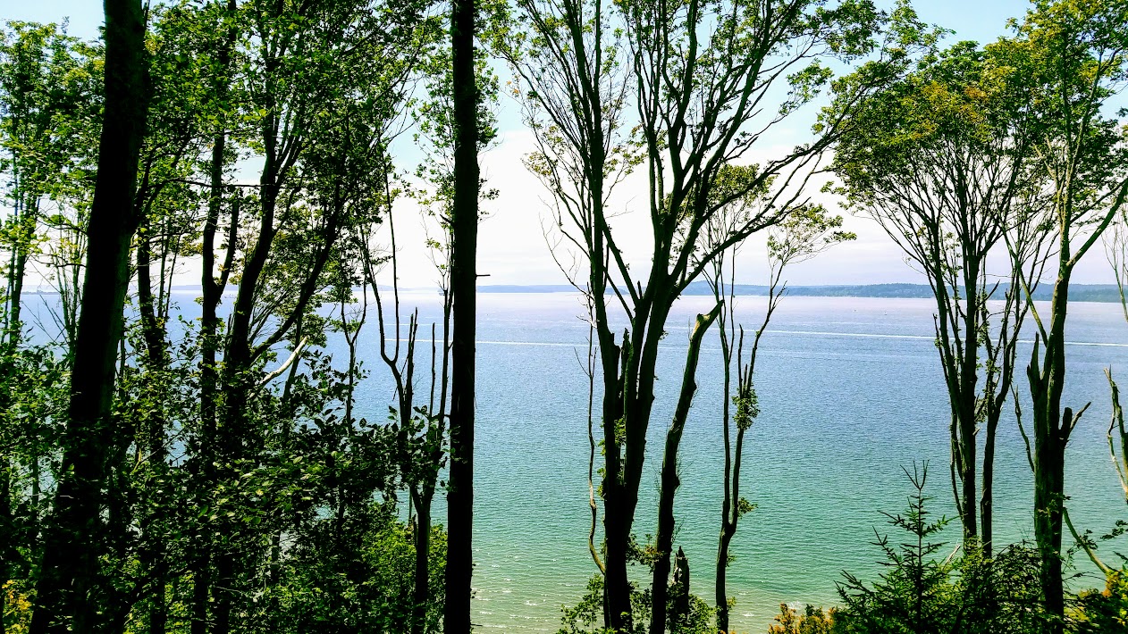 Puget Sound Nutrient Watch A New Blog Series Washington State